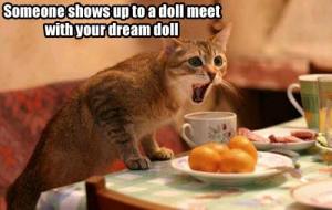 8 Awesome Doll memes | Doll Therapy